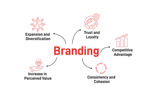 Cracking the Branding Code: Understanding the What and Why for Your ...